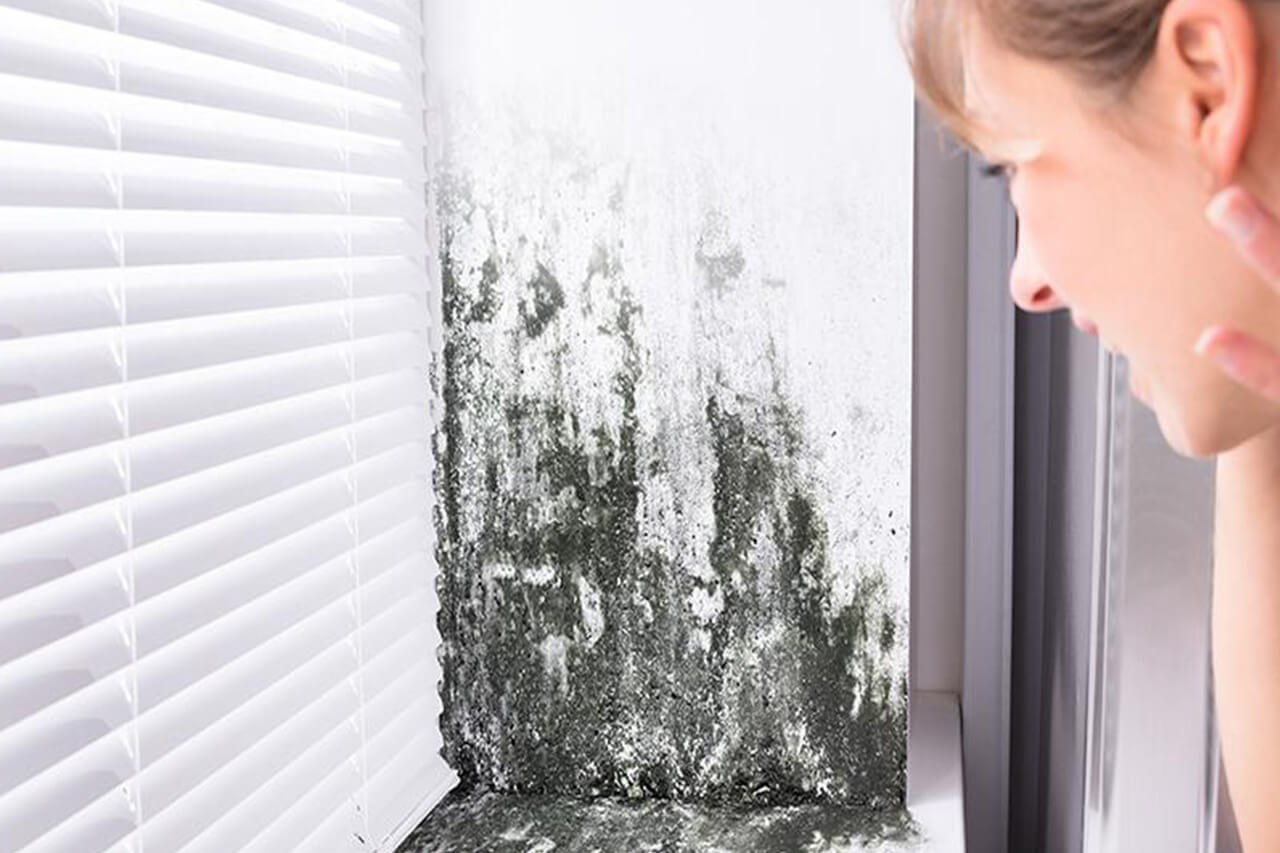 How to Prevent Mold On Your Windows - Shutters Manufacturer